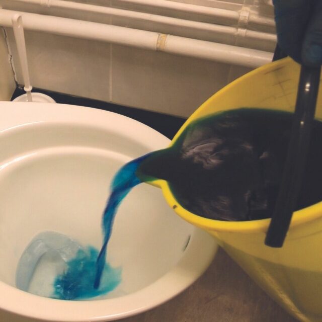 Drain Tracing Dye - S1E