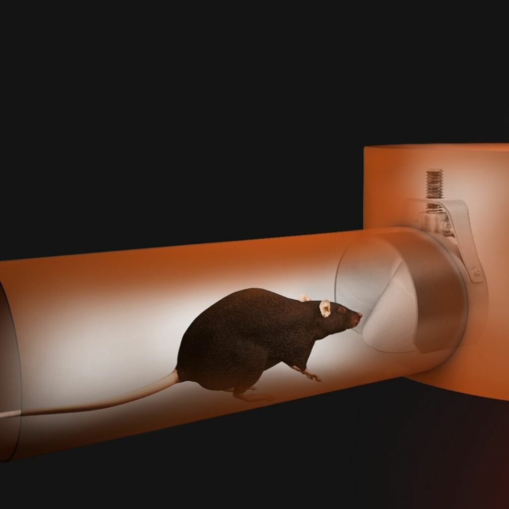 Ratwall Rat Blocker - S1E